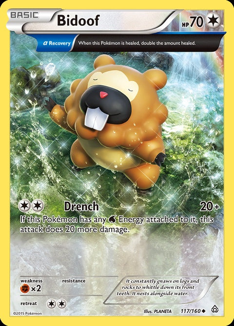 pokemon-XY5-bidoof-117